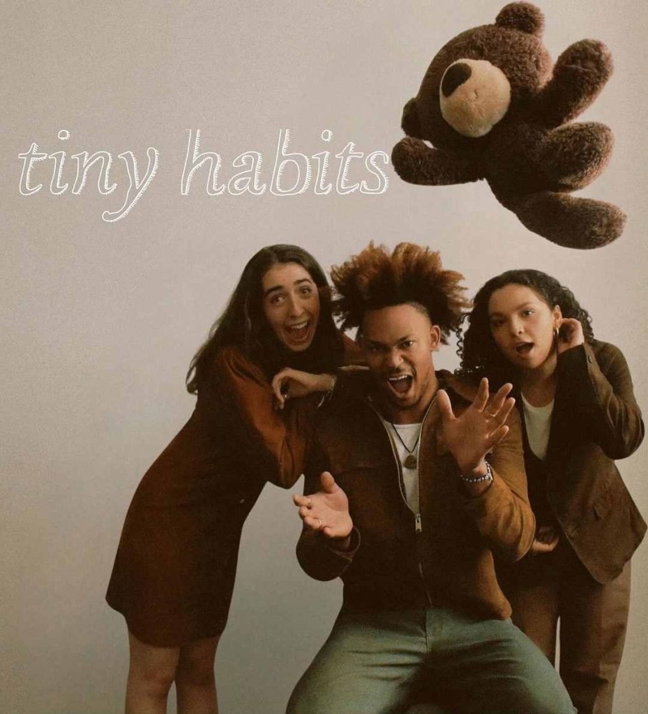 Tiny Habits' "Mudroom": A People/Acoustic Vibe Delight